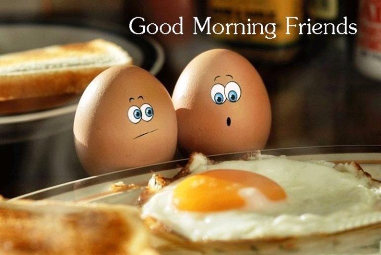 52 Amazing Funny Good Morning Pictures