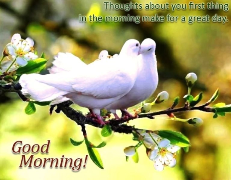 25 Beautiful Good Morning Spring Wishes