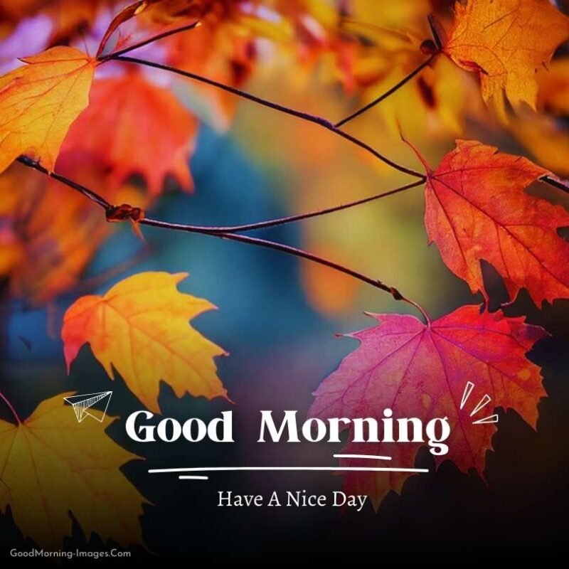 50+ Good Morning Autumn Images & GIFs