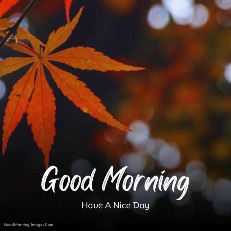 50+ Good Morning Autumn Images & GIFs