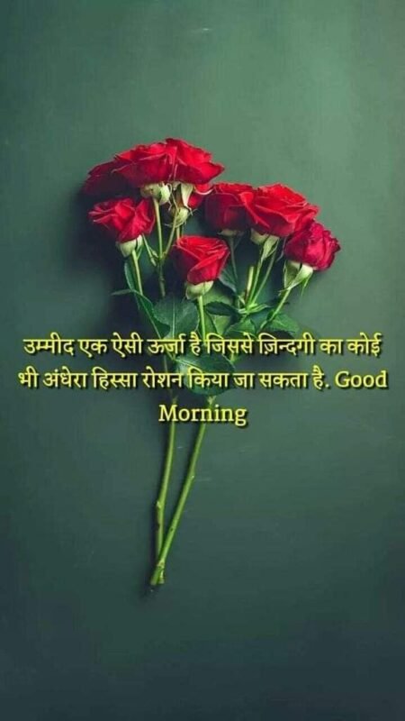 110+ Amazing Good Morning Hindi Images & Wishes