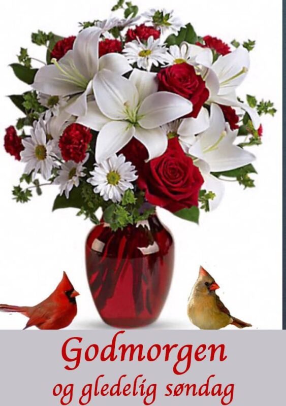 70+ Good Morning Norwegian Images, Wishes & Gifs