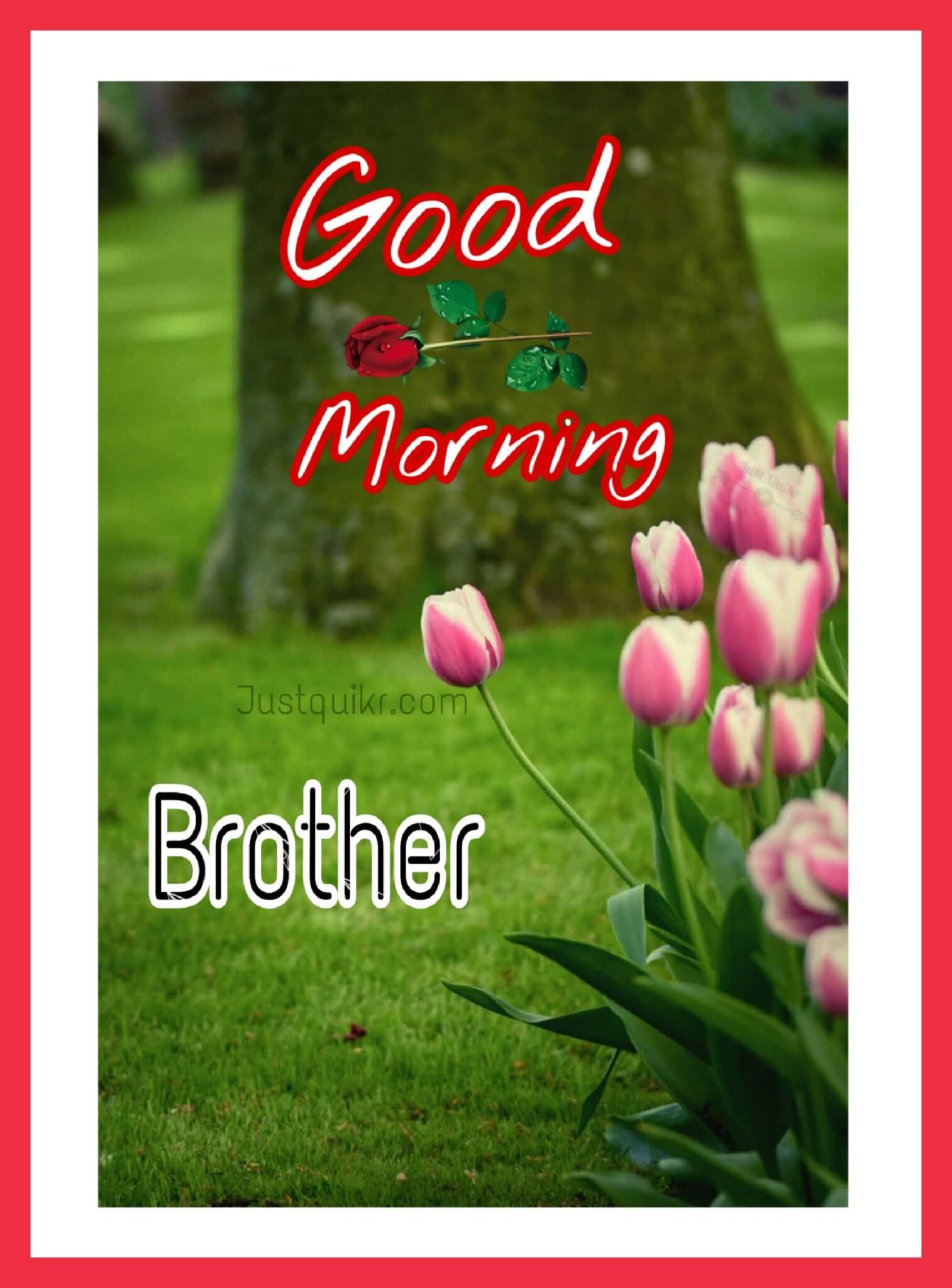 40+ Good Morning Brother Images