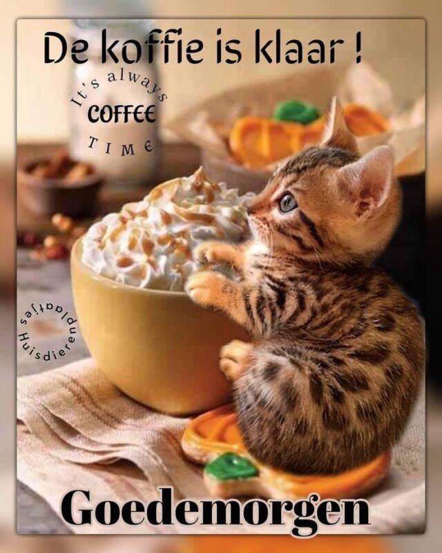 50+ Good Morning Dutch Images & Wishes