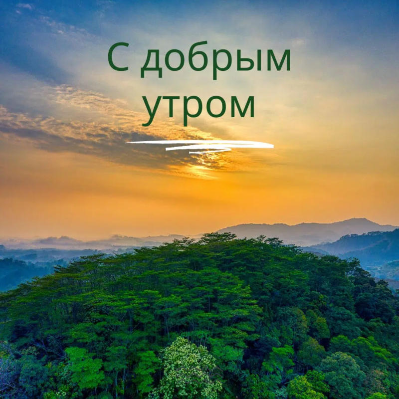50+ Good Morning Russian Images & Wishes