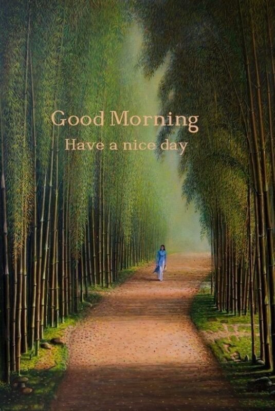 30+ Good Morning Forest Images