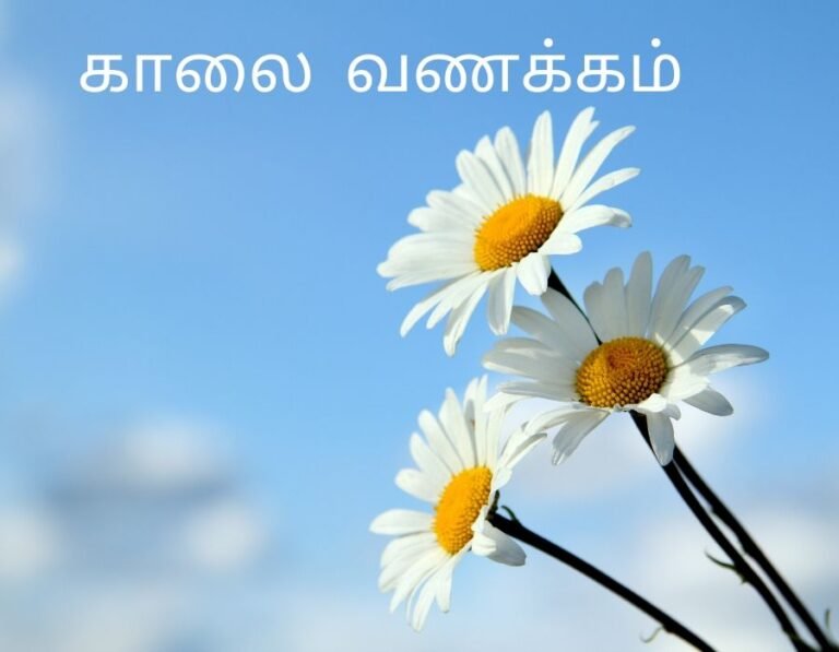 80+ Good Morning Tamil Images & Wishes