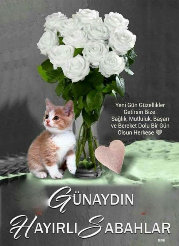 60+ Good Morning Turkish Images & wishes