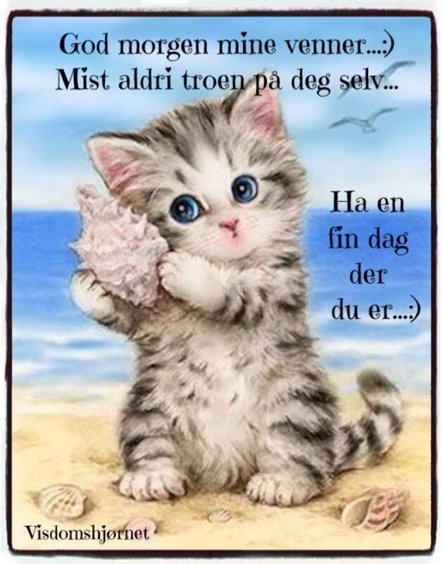 70+ Good Morning Norwegian Images, Wishes & Gifs