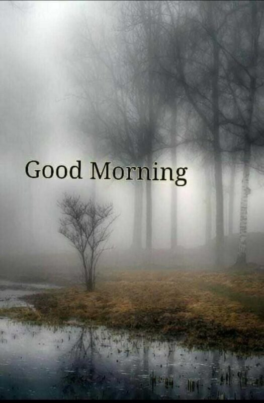25+ Good Morning Fog Images